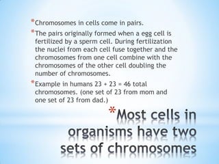 Unit 7 meiosis powerpoint (revised2006) | PDF