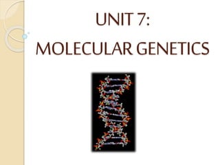 Unit7 Molecular Genetics | PPT
