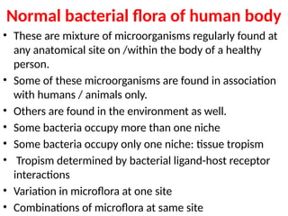 Normal bacterial flora of human body (Contact for more detail ...