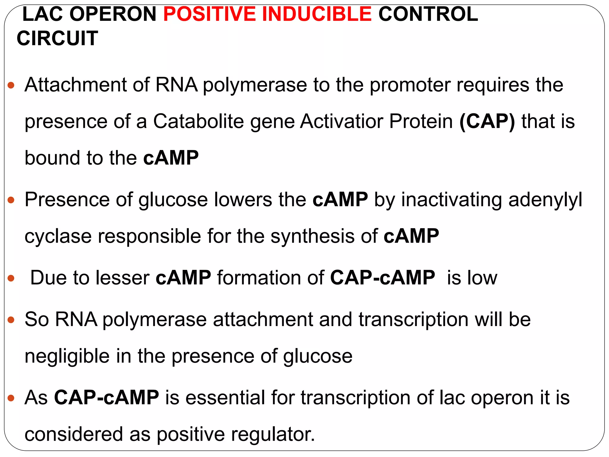 operon concept | PPTX