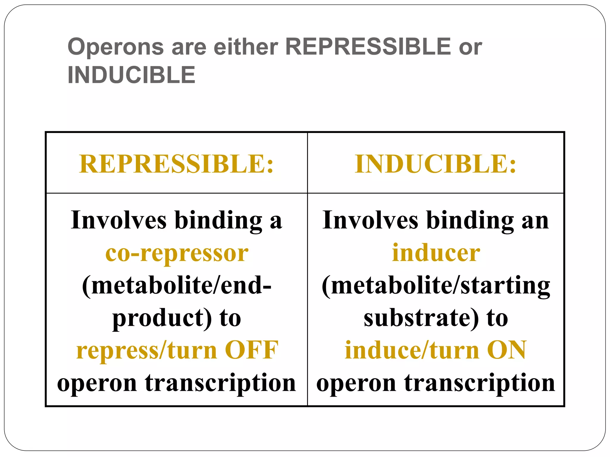 operon concept | PPTX