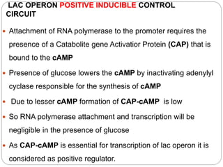 operon concept | PPTX