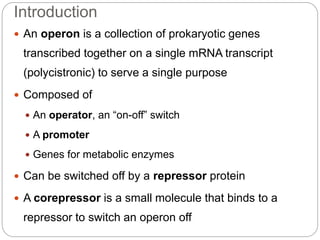 operon concept | PPTX