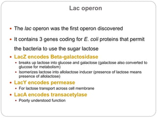 operon concept | PPTX