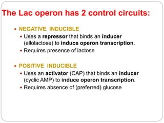 operon concept | PPTX