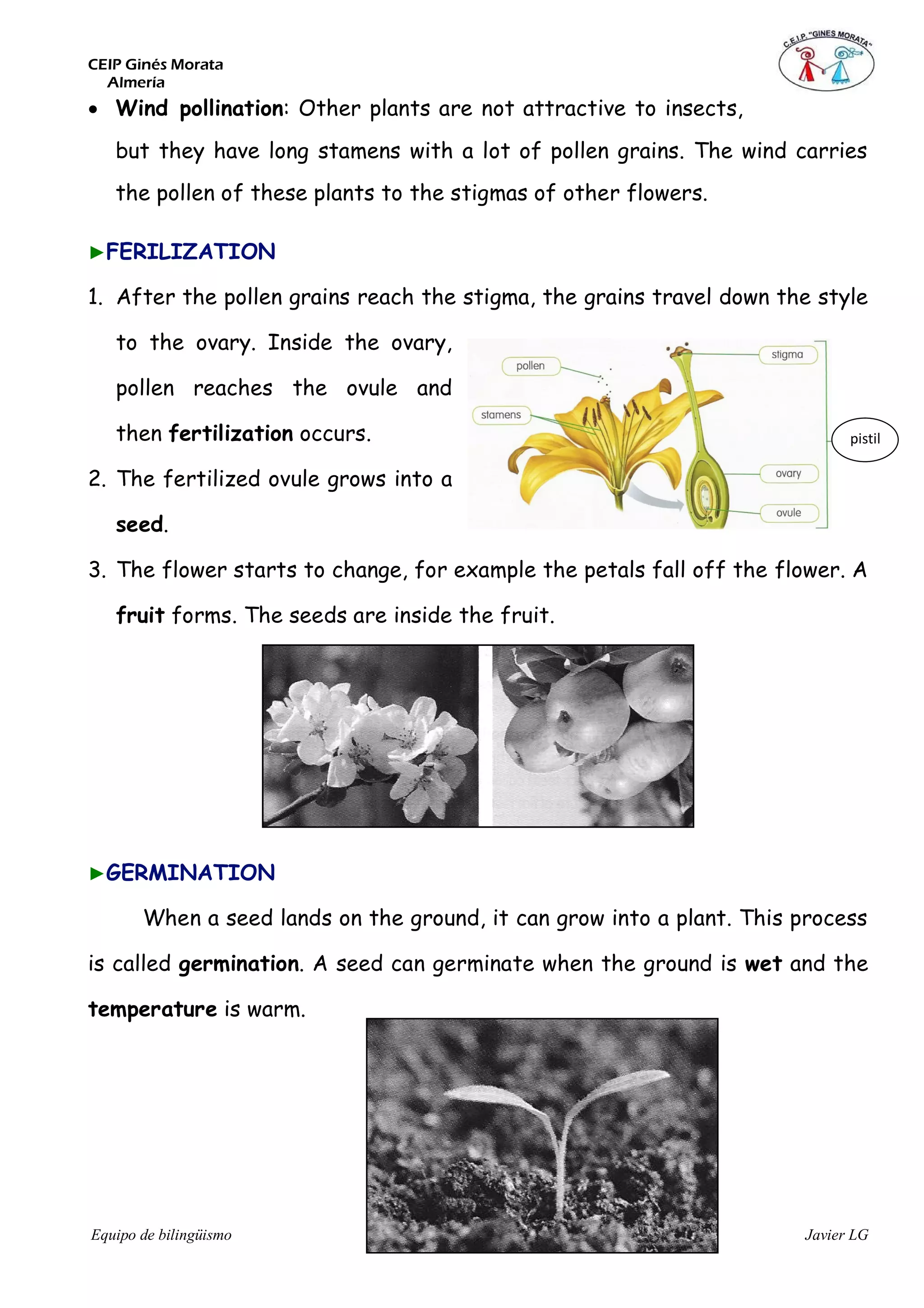 Unit 7 plants_reproduce_def | PDF