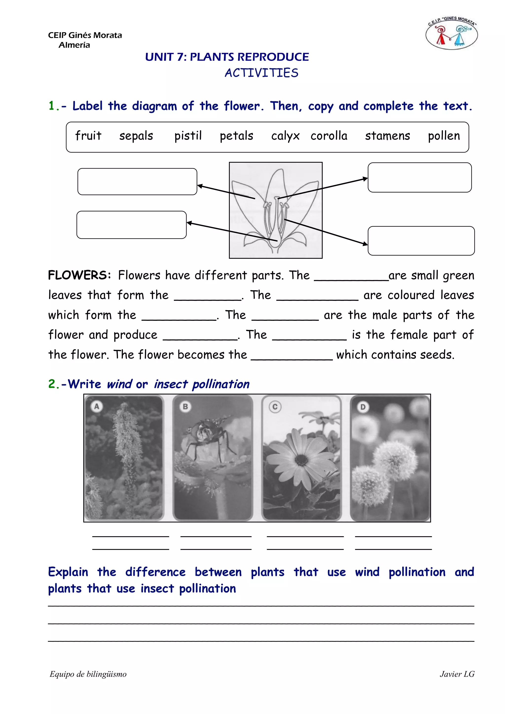 Unit 7 plants_reproduce_def | PDF