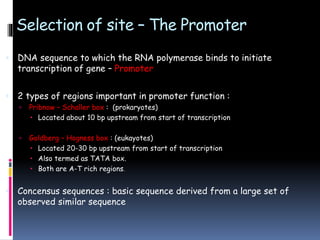 Unit 7 prok transcription | PPT