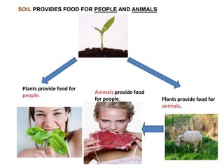 Unit 7 science power | PPT