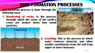 Unit 7 Soils.pdf
