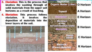Unit 7 Soils.pdf