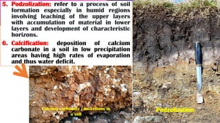 Unit 7 Soils.pdf