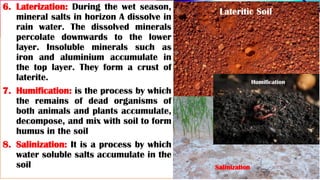 Unit 7 Soils.pdf