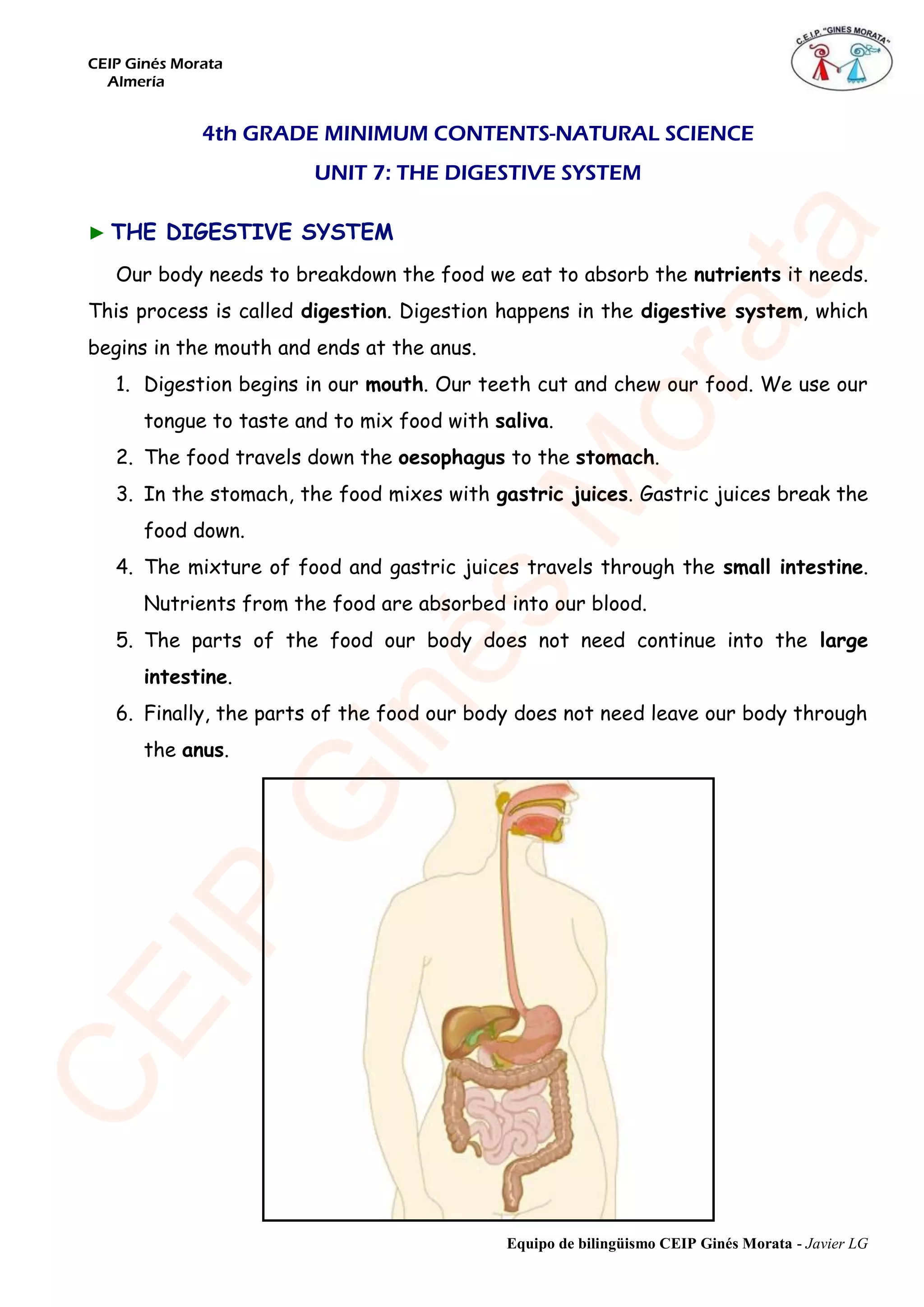 Unit 7 the_digestive_system_ | PDF