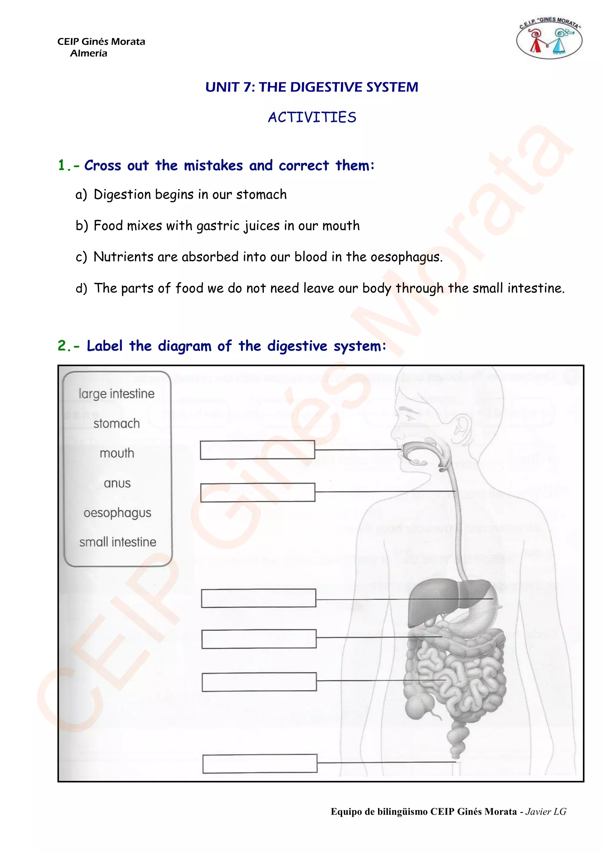 Unit 7 the_digestive_system_ | PDF