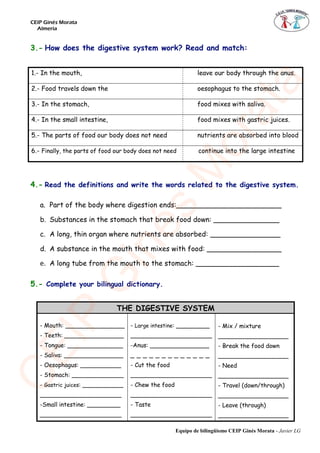 Unit 7 the_digestive_system_ | PDF