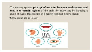 Unit 7 The sensory Organ Nirali Anatomy and Physiology .pptx