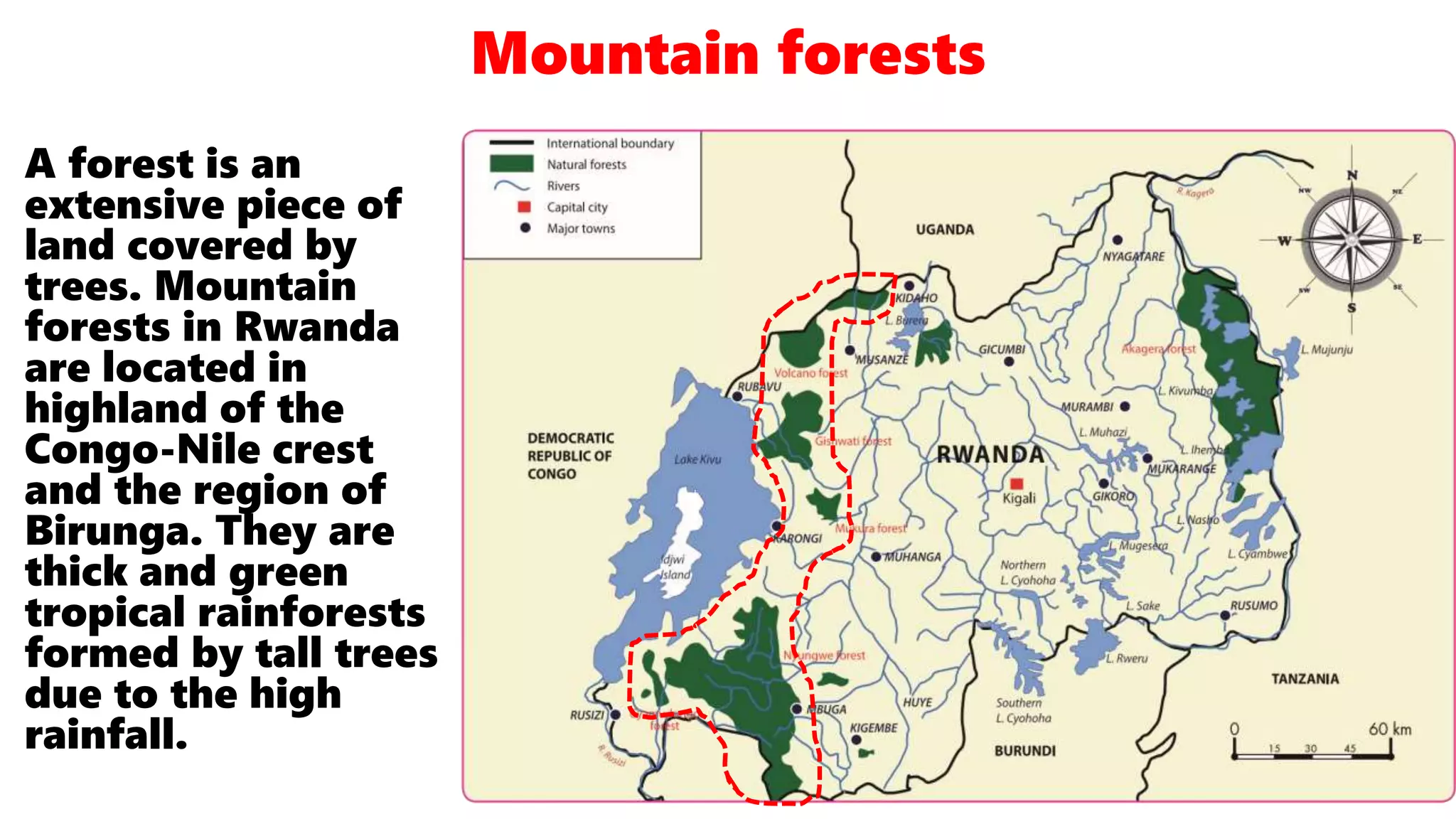 Unit 7 Vegetation in Rwanda.pptx