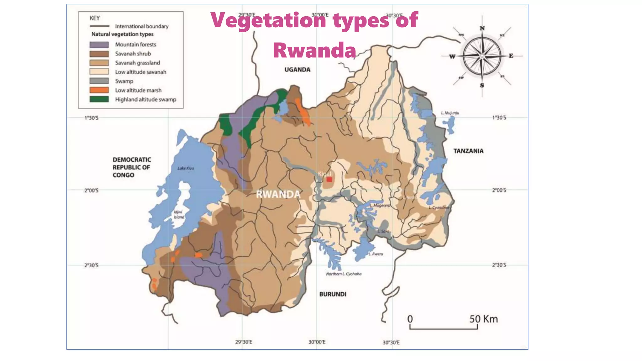 Unit 7 Vegetation in Rwanda.pptx