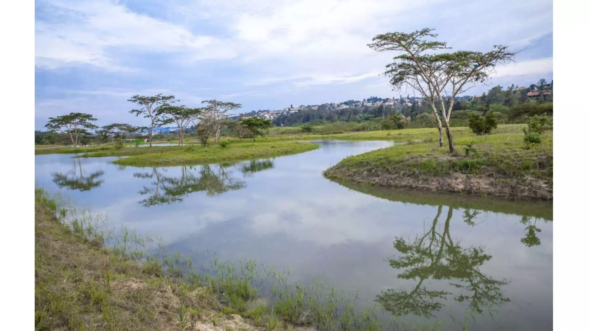 Unit 7 Vegetation in Rwanda.pptx
