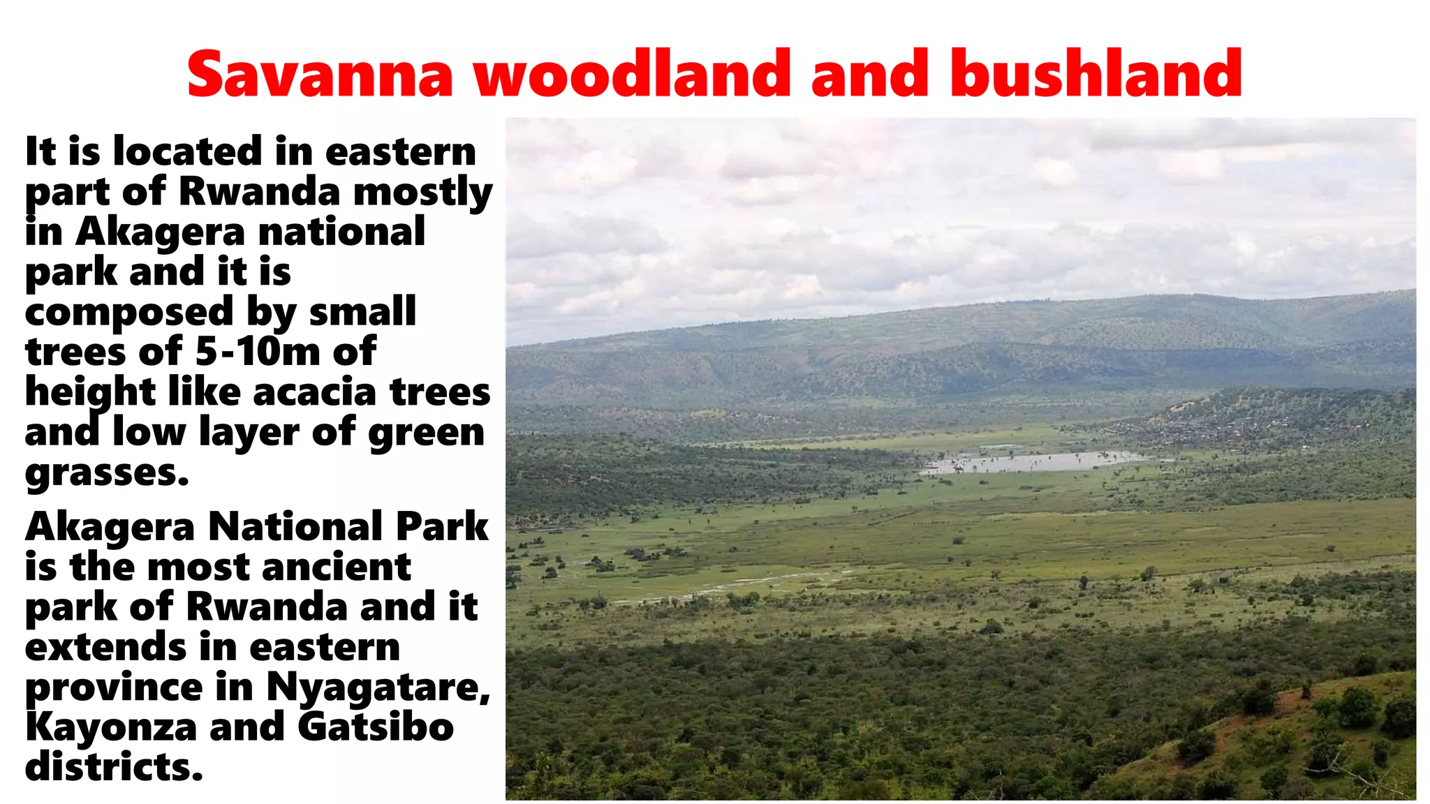 Unit 7 Vegetation in Rwanda.pptx