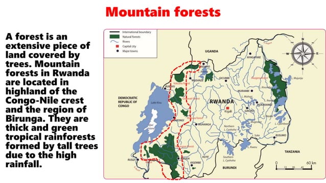 Unit 7 Vegetation in Rwanda.pptx | Zoos & Aquariums | Attractions