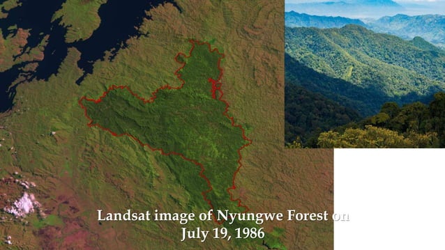 Unit 7 Vegetation in Rwanda.pptx | Zoos & Aquariums | Attractions