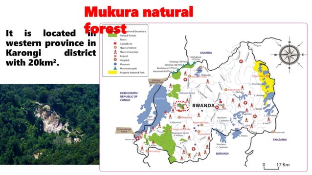 Unit 7 Vegetation in Rwanda.pptx | Zoos & Aquariums | Attractions