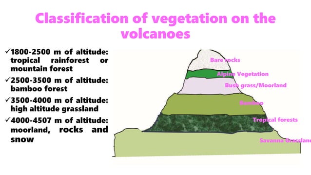 Unit 7 Vegetation in Rwanda.pptx | Zoos & Aquariums | Attractions