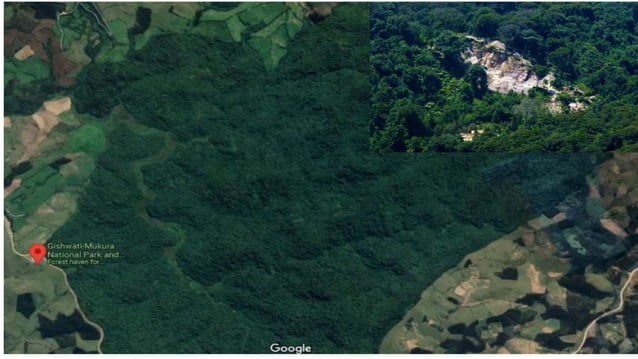Unit 7 Vegetation in Rwanda.pptx | Zoos & Aquariums | Attractions