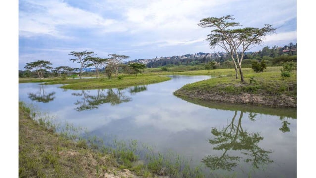 Unit 7 Vegetation in Rwanda.pptx | Zoos & Aquariums | Attractions