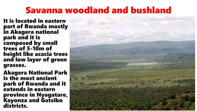 Unit 7 Vegetation in Rwanda.pptx | Zoos & Aquariums | Attractions