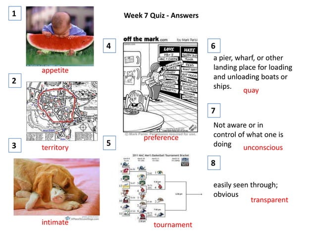Unit 7 word definitions and images | PPT