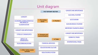 Unit 8. Tertiary Sector | PPTX