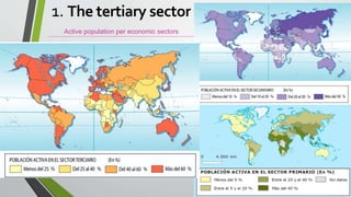 Unit 8. Tertiary Sector | PPTX