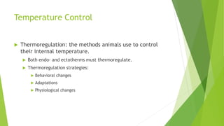 AP Biology Unit 8 Ecology Topic Two Energy Flow Through Systems | PPTX
