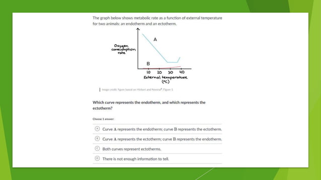 AP Biology Unit 8 Ecology Topic Two Energy Flow Through Systems | PPTX