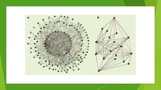 AP Biology Unit 8 Ecology Topic Two Energy Flow Through Systems | PPTX