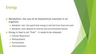 AP Biology Unit 8 Ecology Topic Two Energy Flow Through Systems | PPTX