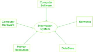 English Computers in the Office -Information System | PPTX