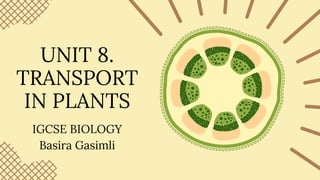 UNIT 8. TRANSPORT IN PLANTS_20241121_014400_0000.pdf