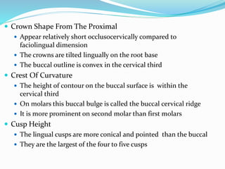 Unit 8 - Mandibular 2nd Molars.pptx