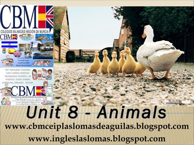 UNIT 8 - ANIMALS | PPT