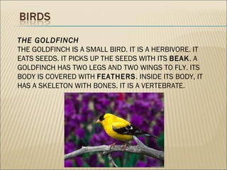 UNIT 8 - ANIMALS | PPT