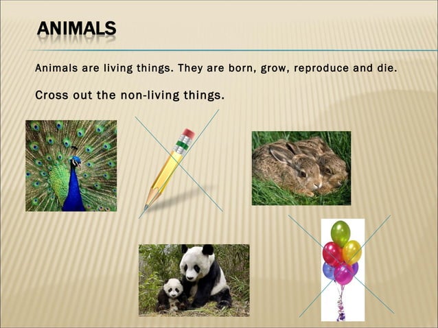 UNIT 8 - ANIMALS | PPT