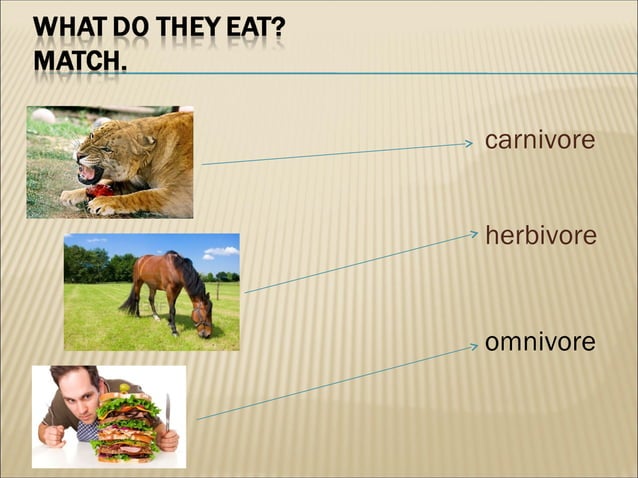UNIT 8 - ANIMALS | PPT