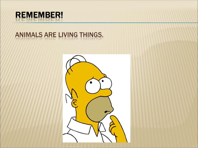 UNIT 8 - ANIMALS | PPT