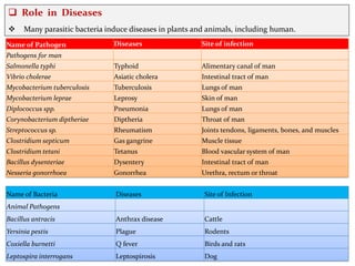 Unit –8– Economic importance of Bacteria by Dr. Kirtika Padalia ...