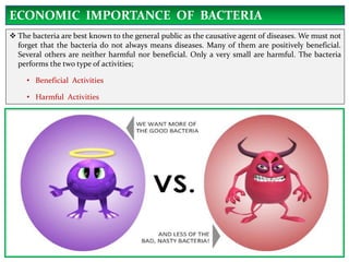 Unit –8– Economic importance of Bacteria by Dr. Kirtika Padalia ...