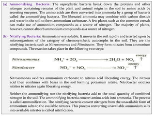 Unit –8– Economic importance of Bacteria by Dr. Kirtika Padalia ...